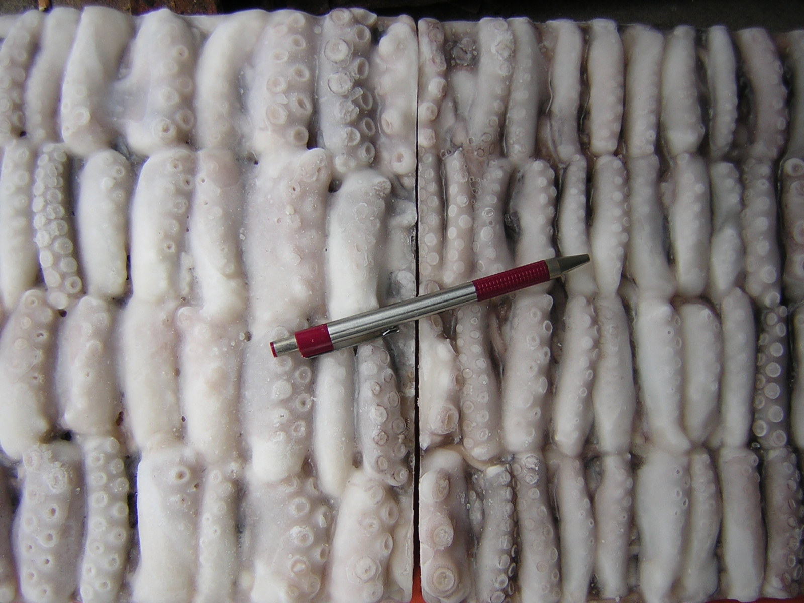 Welcome to A DONG Seadfood Company